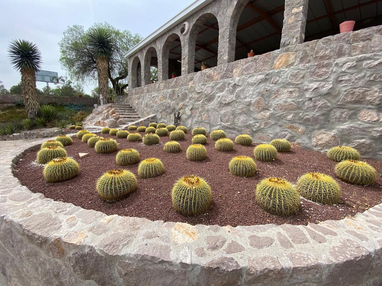 Jardín Botánico El Izotal de la UASLP promueve la conservación y la ...